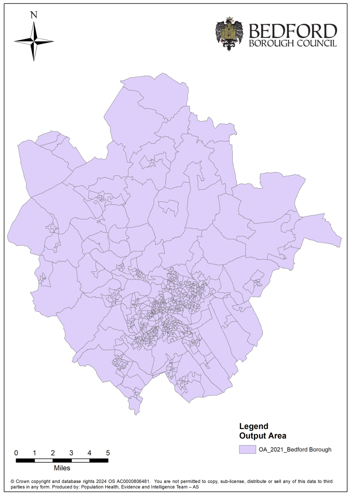 Maps | Bedford JSNA