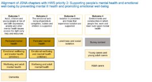 Joint Strategic Needs Assessment | Surrey-i