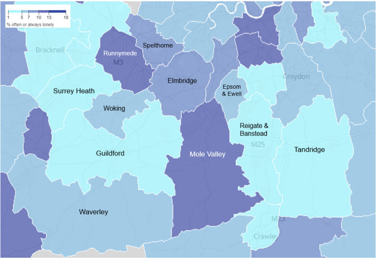 JSNA Loneliness and Social Isolation | Surrey-i