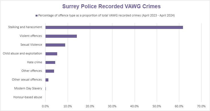 Surrey Violence Against Women and Girls Needs Assessment 2024-2025 ...